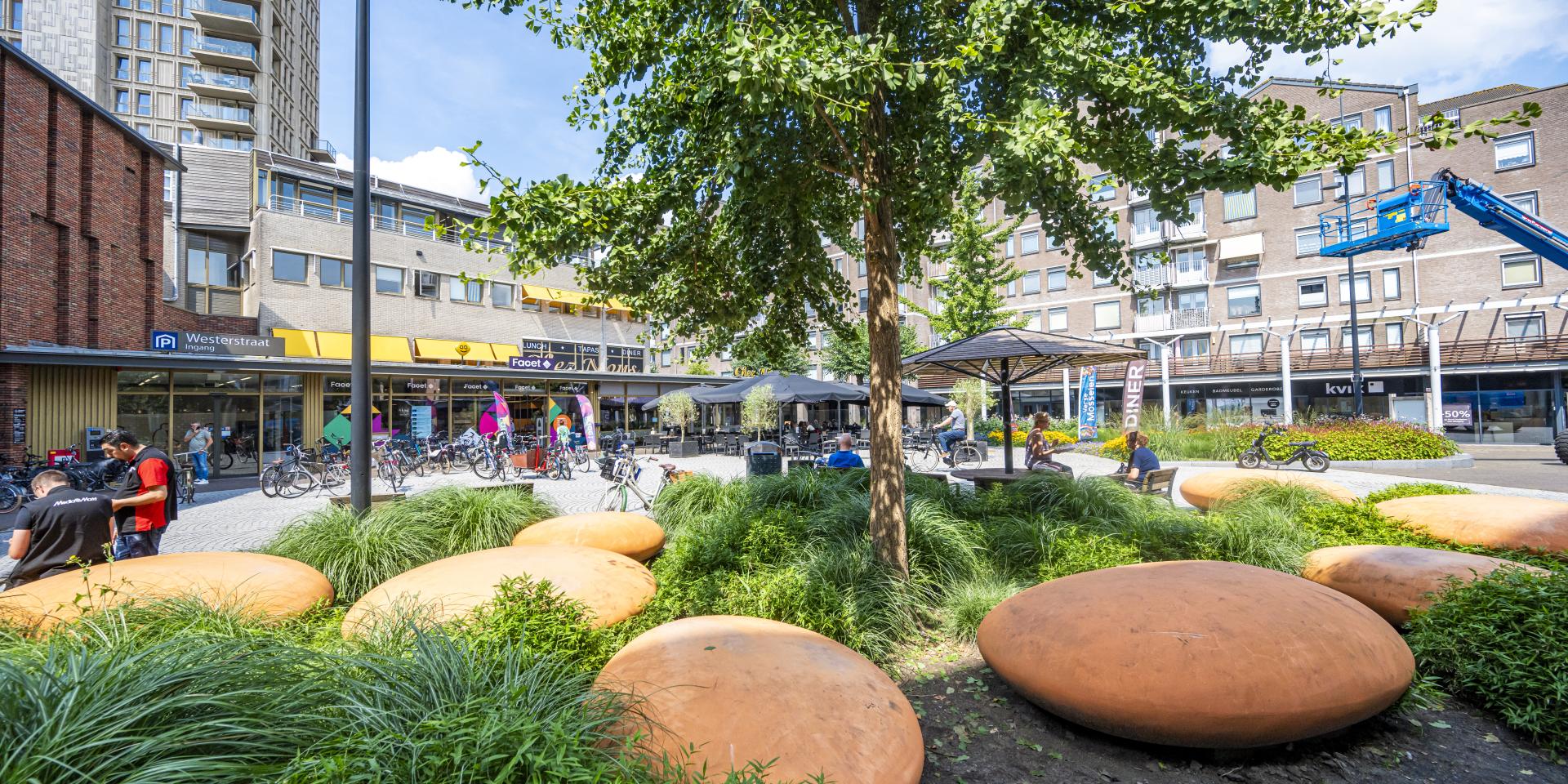 De opening | Gemeente Emmen